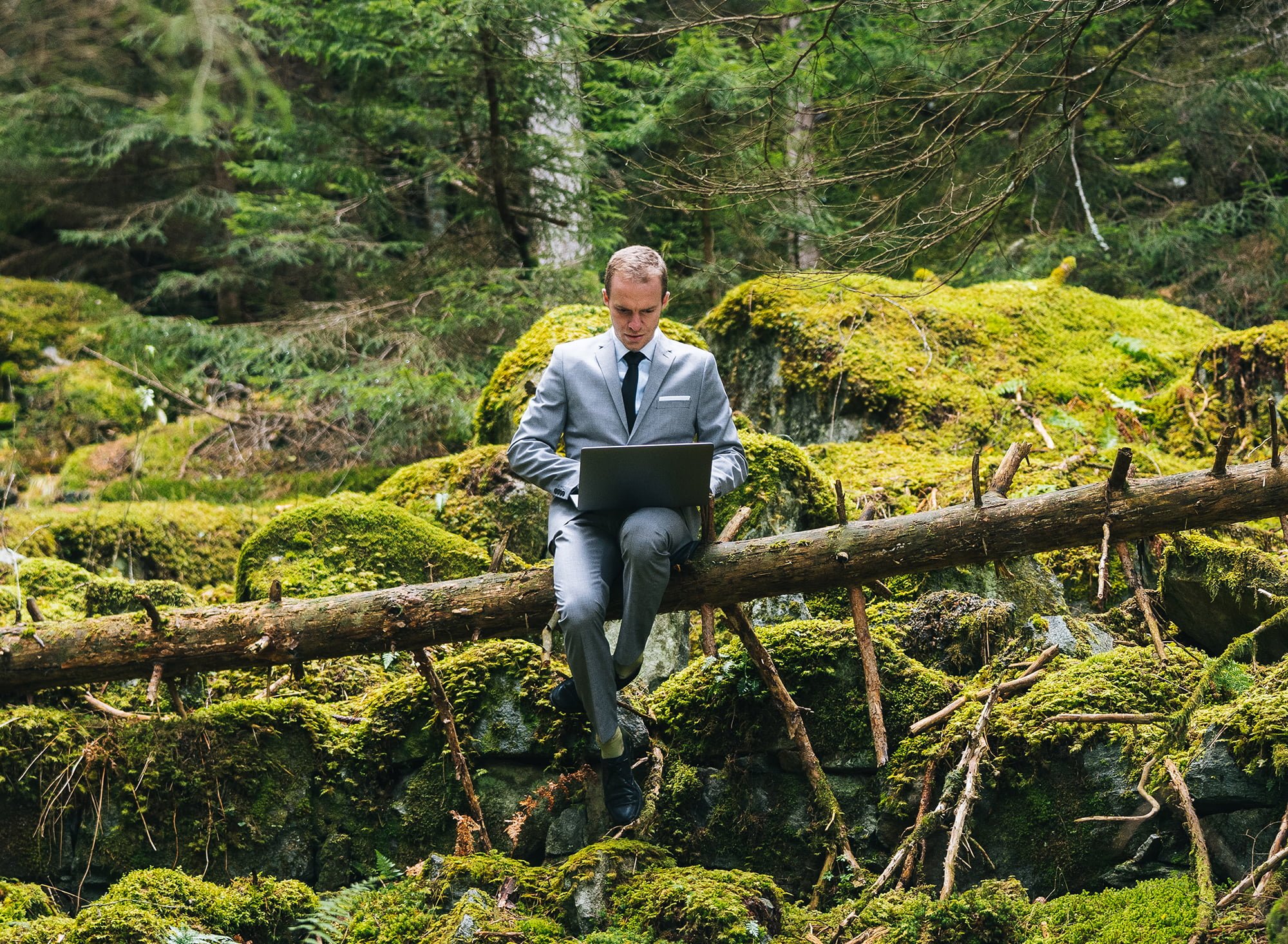 IT-Security-News – Tec-Bite