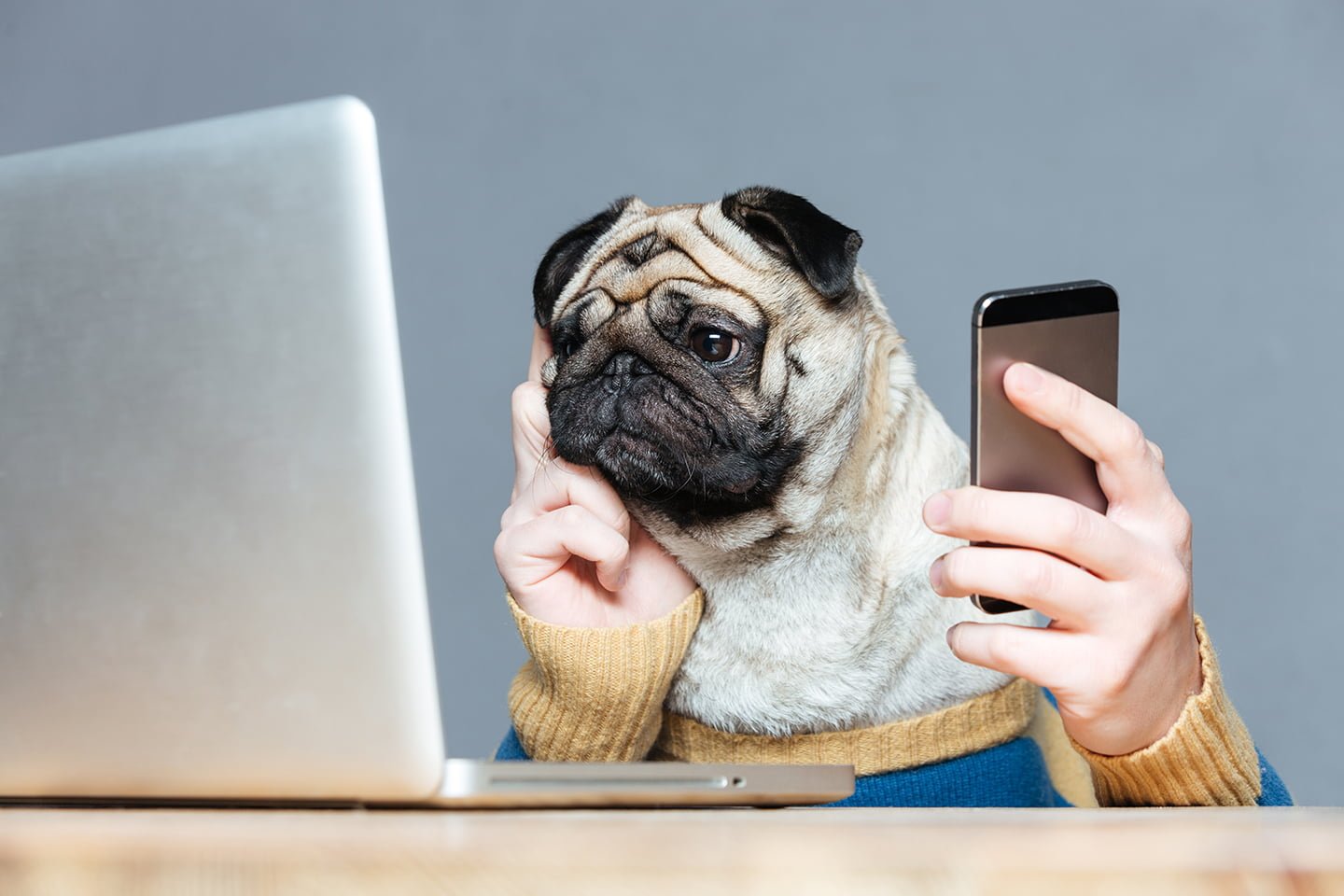 IT-Security-News – Tec-Bite