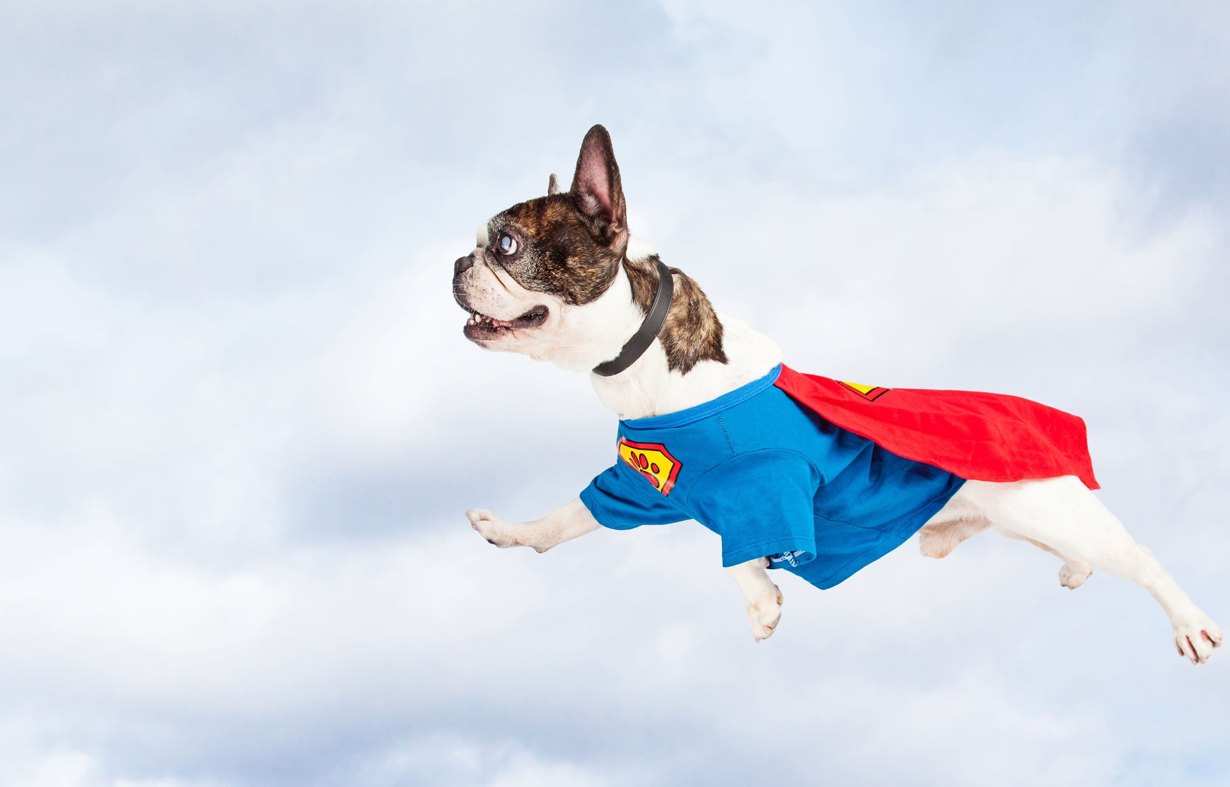 8 Trends in der Cloud Security – Tec-Bite IT-Security Blog